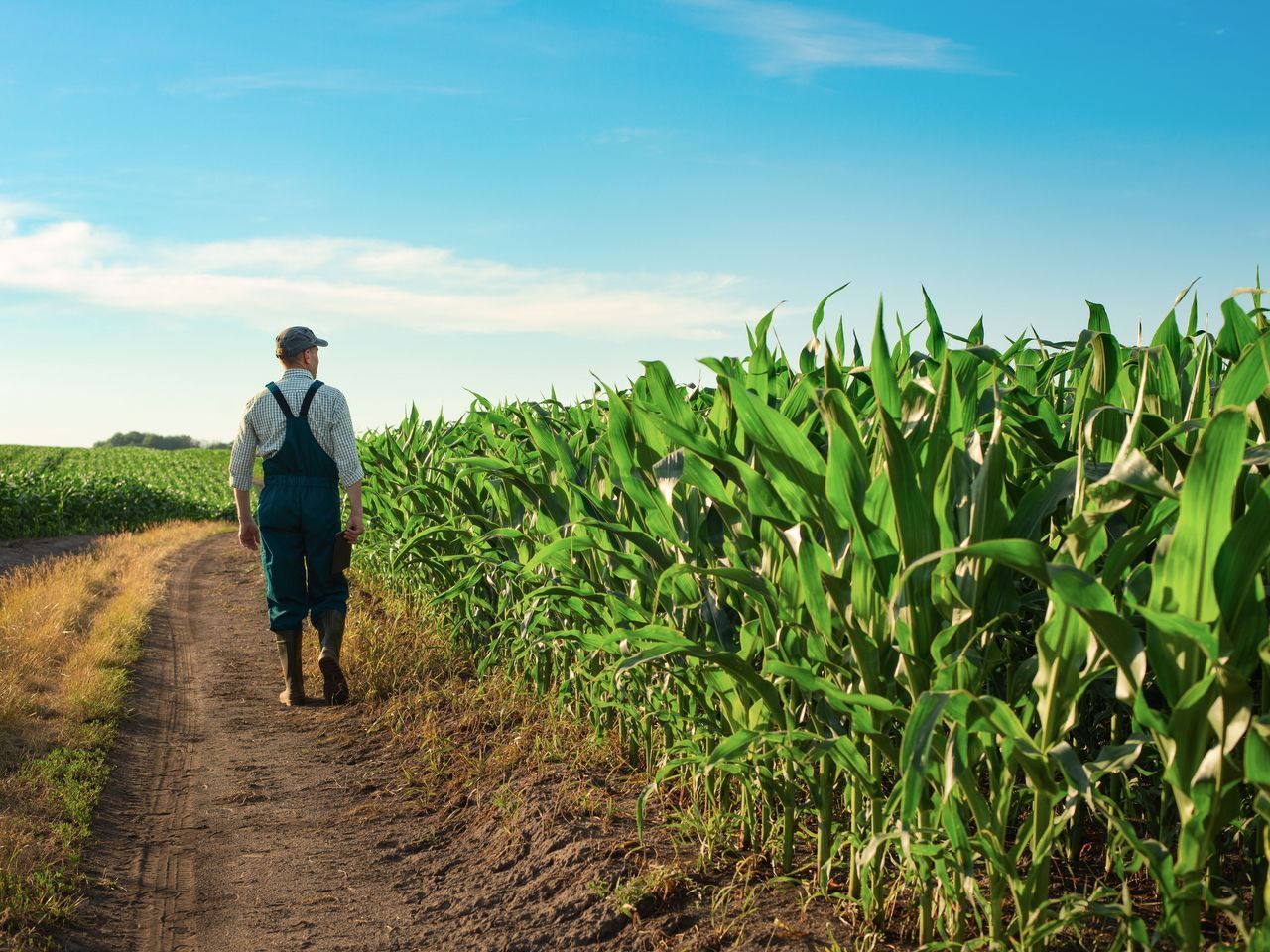 Environmental responsibility - Intersnack Magyarország Kft.